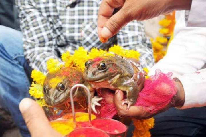 पानी पर्ने आशामा भ्यागुताको विवाह – Dcnepal