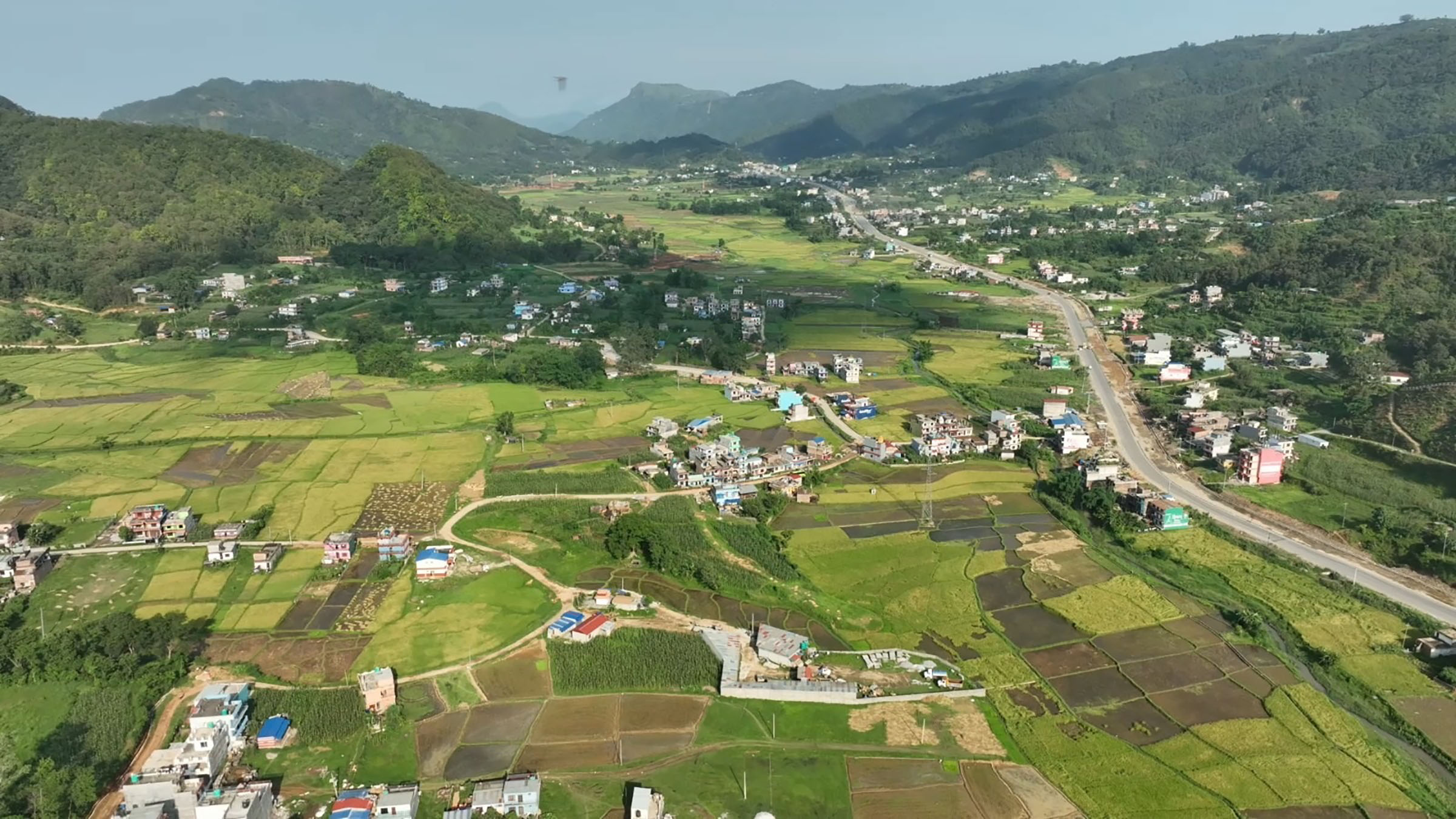 तनहुँमा धान उत्पादन वृद्धि – Dcnepal